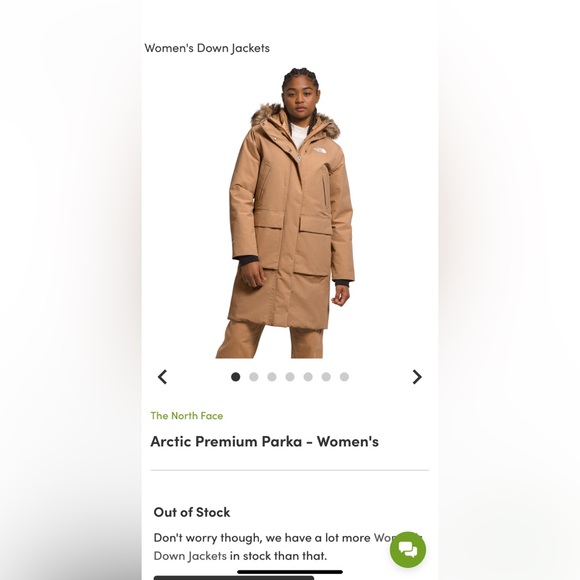 North Face Tan Ski Jacket